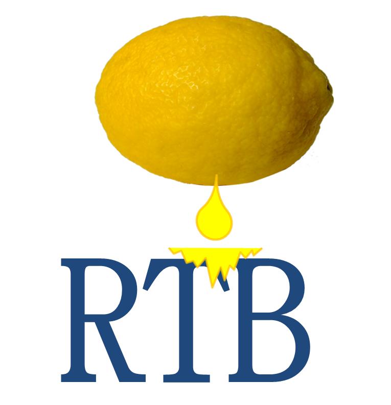 2017年，DSP、RTB和程序化广告的“透”视与展望|智子云-AI为核心的云计算公司